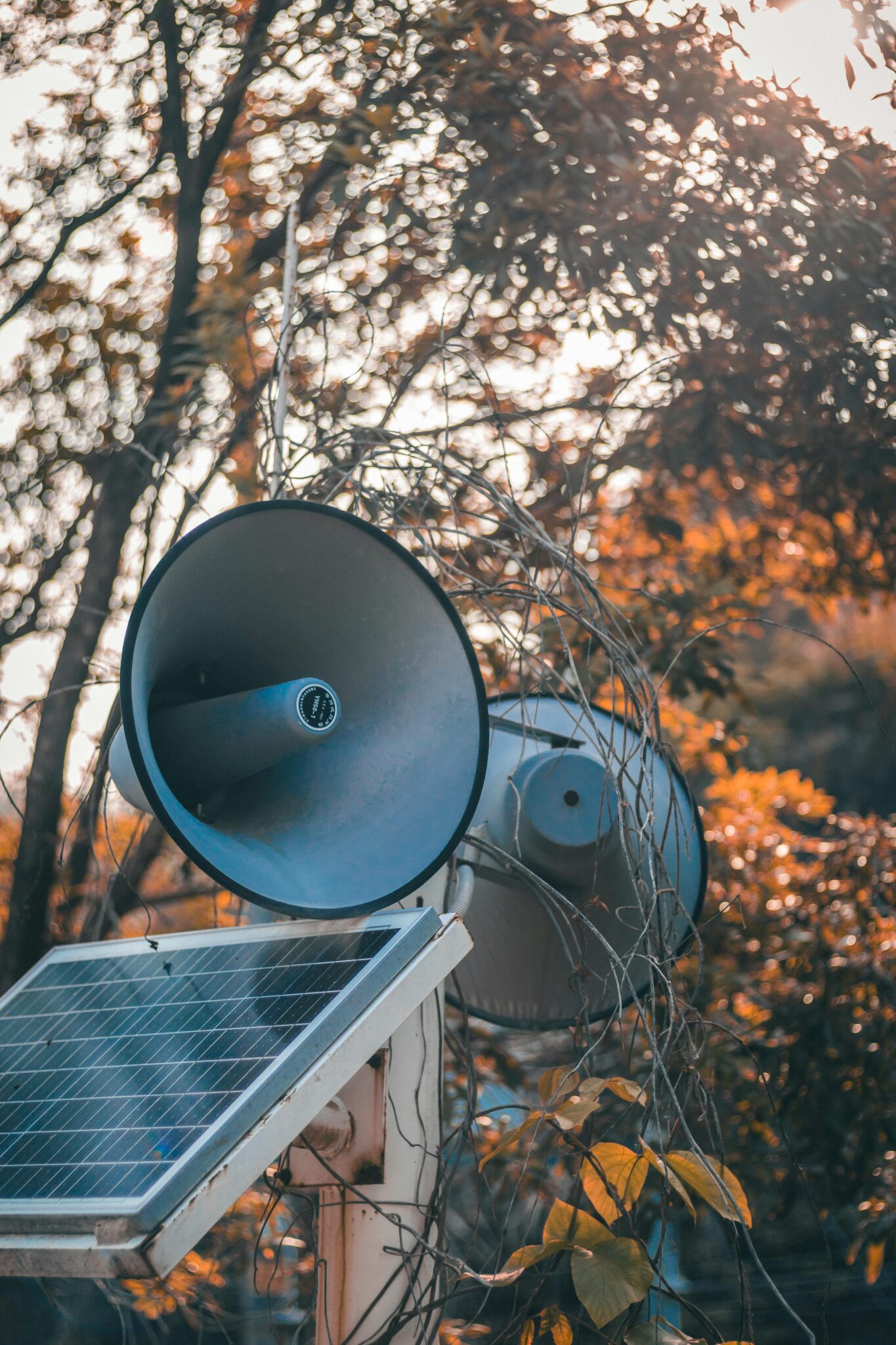 What is a Good Wattage for Outdoor Speakers? Expert Guide